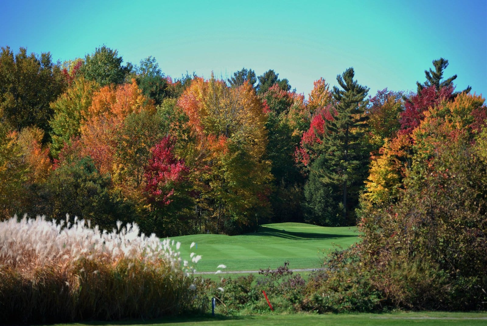 Blogue 8: Mes belles visites au Club de Golf de Glendale - Apex-Golf